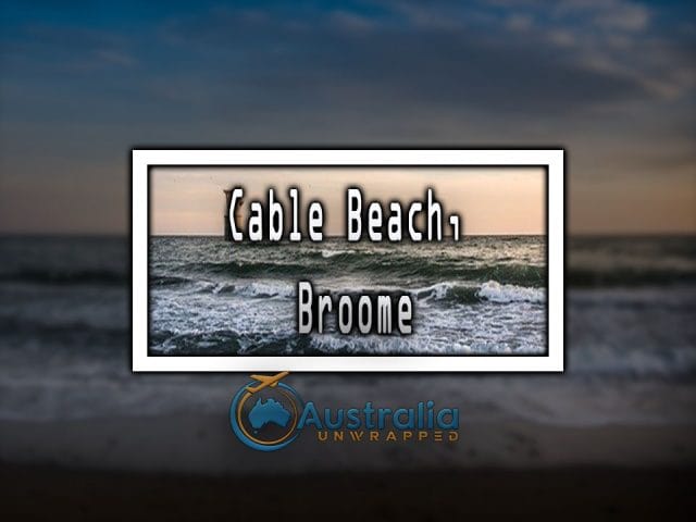 Top 10 Most Dangerous Venomous Snakes in Australia