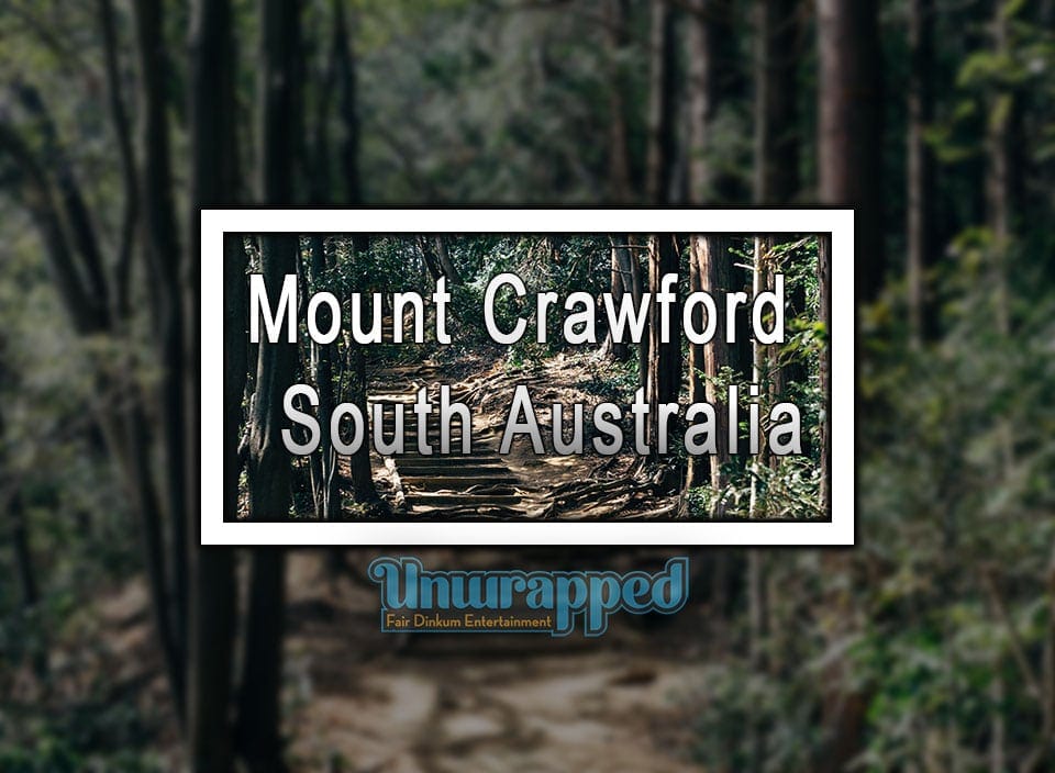 Mount Crawford Forest - South Australia