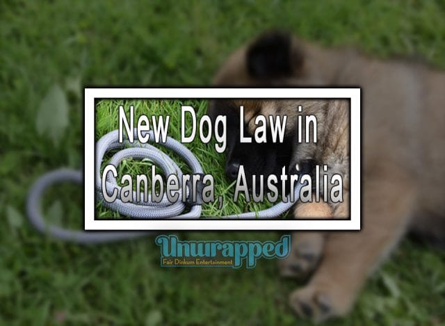 New Dog Law in Canberra, Australia