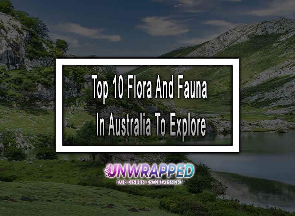 Top 10 Flora And Fauna In Australia To Explore
