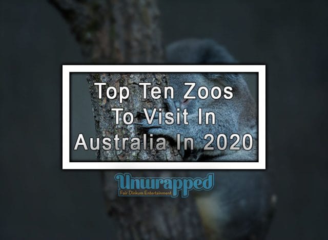 Top Ten Zoos To Visit In Australia