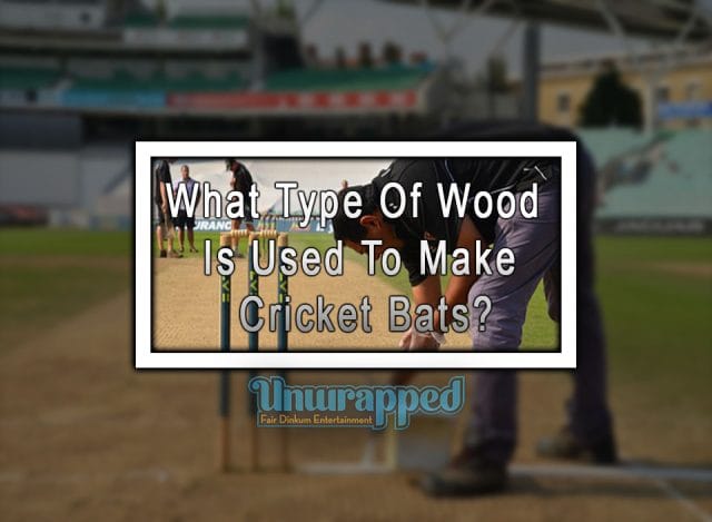 What Type Of Wood Is Used To Make Cricket Bats?
