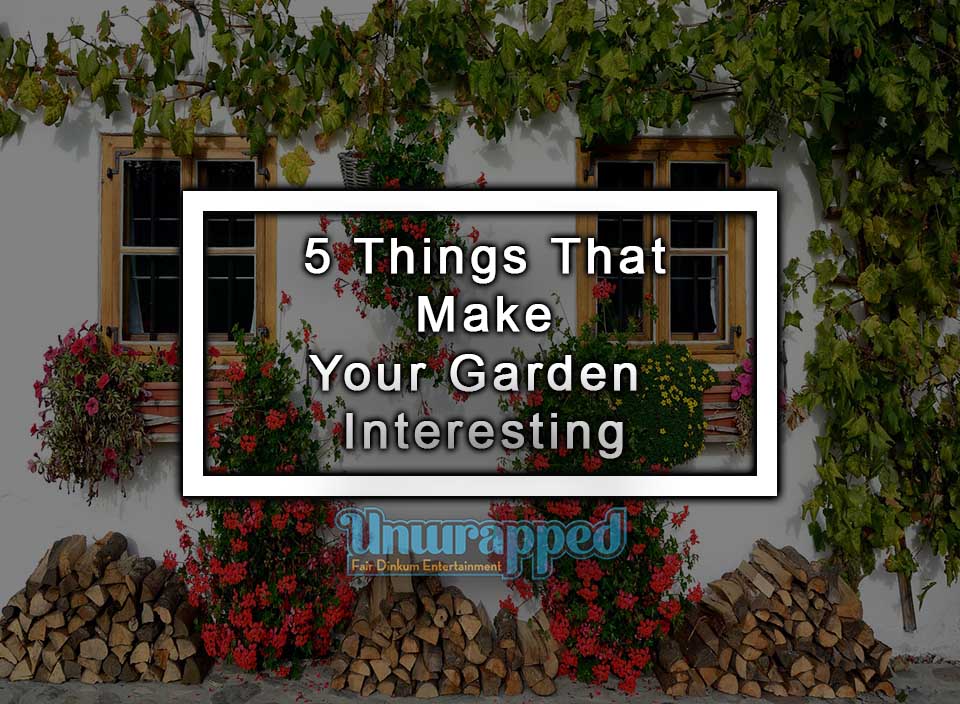 5 Things That Make Your Garden Interesting