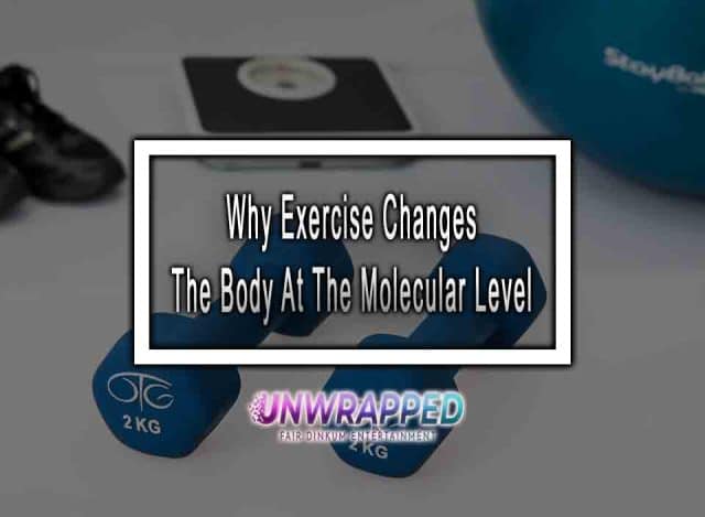 Why Exercise Changes The Body At The Molecular Level