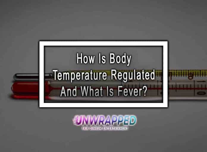 How Is Body Temperature Regulated And What Is Fever?
