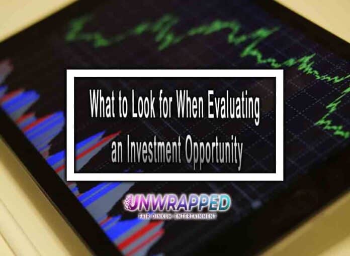 What to Look for When Evaluating an Investment Opportunity