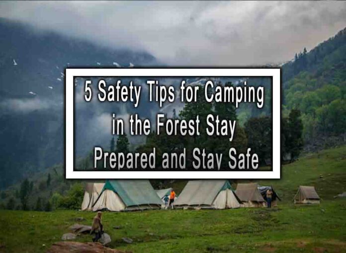 5 Safety Tips for Camping in the Forest Stay Prepared and Stay Safe