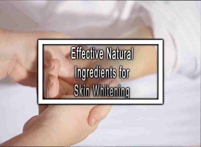 Effective Natural Ingredients for Skin Whitening