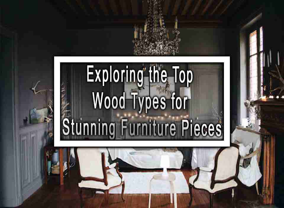 Exploring the Top Wood Types for Stunning Furniture Pieces