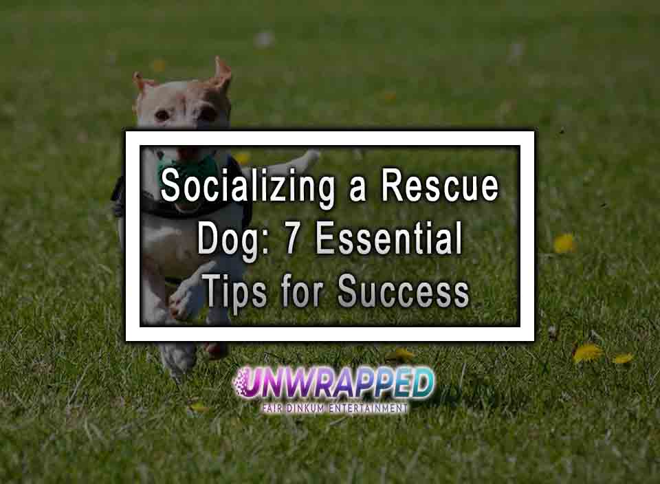 Socializing a Rescue Dog: 7 Essential Tips for Success