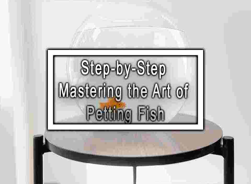 Step-by-Step Mastering the Art of Petting Fish