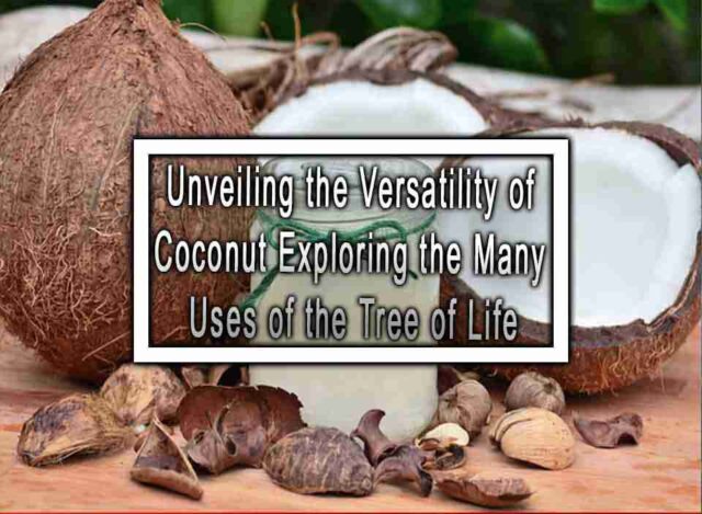 Unveiling the Versatility of Coconut Exploring the Many Uses of the ...