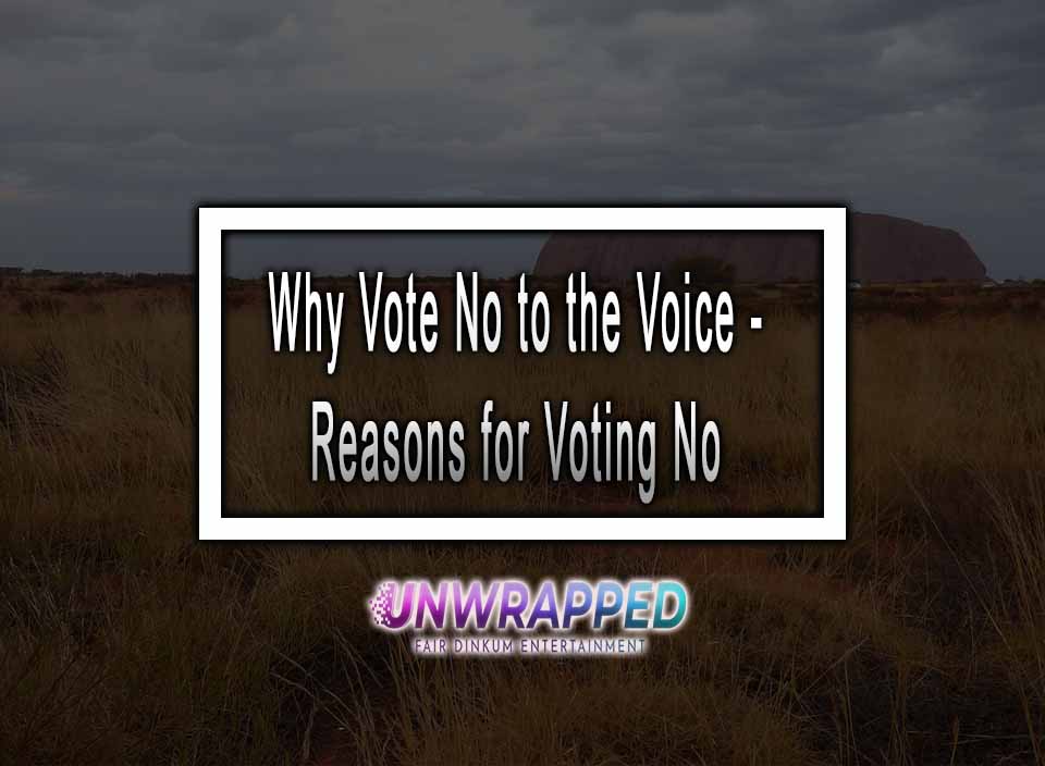 Why Vote No to the Voice - Reasons for Voting No