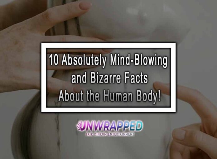 10 Absolutely Mind-Blowing and Bizarre Facts About the Human Body!