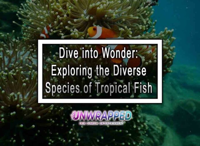 Dive into Wonder: Exploring the Diverse Species of Tropical Fish