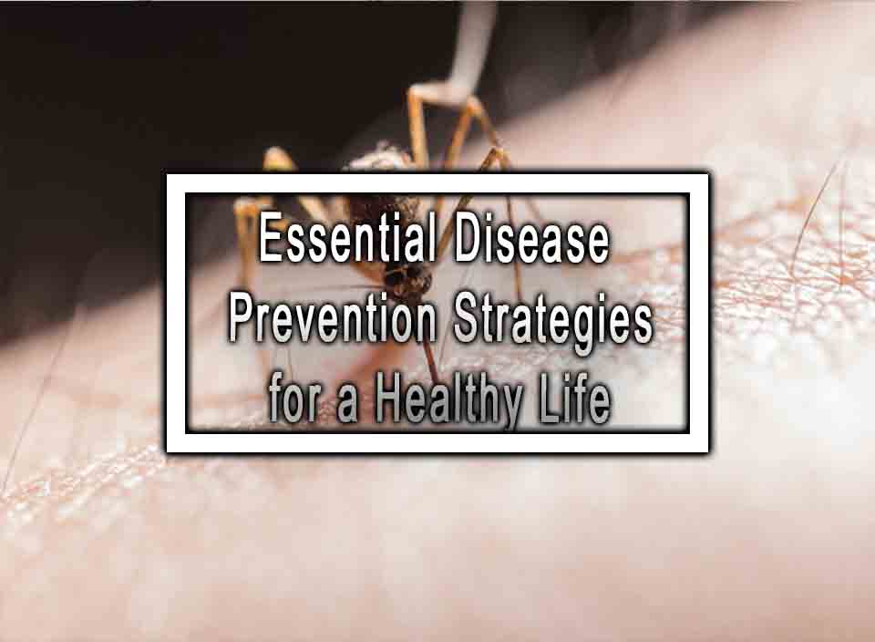 Essential Disease Prevention Strategies for a Healthy Life
