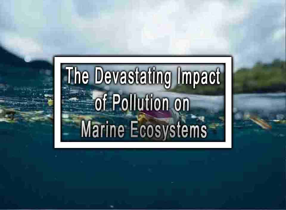 The Devastating Impact of Pollution on Marine Ecosystems