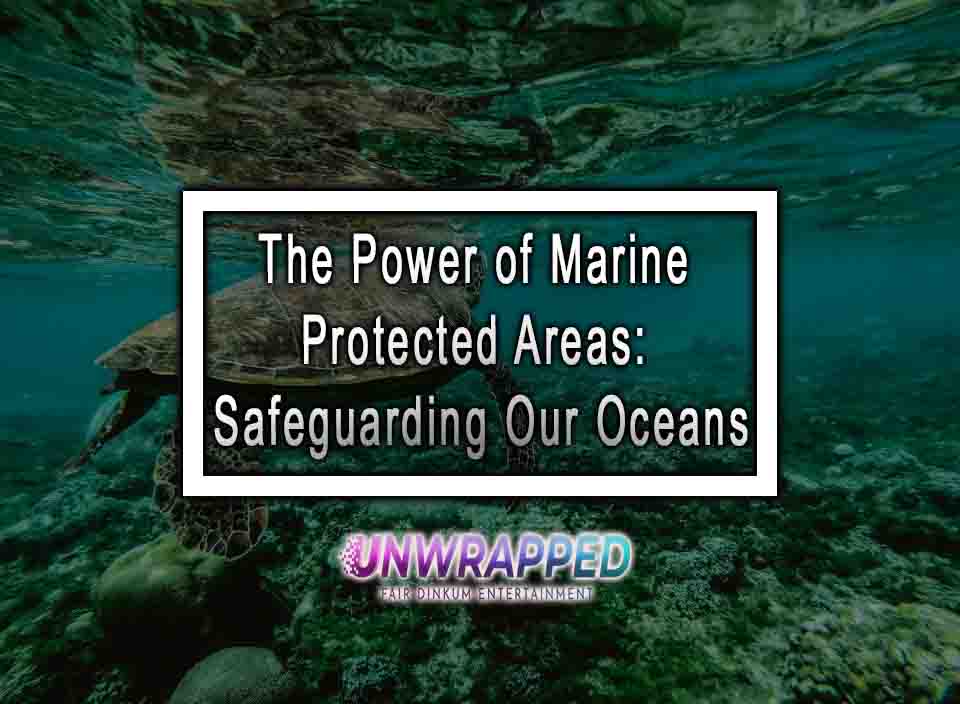 The Power of Marine Protected Areas: Safeguarding Our Oceans