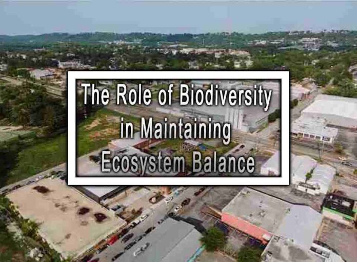 The Role of Biodiversity in Maintaining Ecosystem Balance
