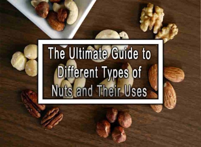 The Ultimate Guide to Different Types of Nuts and Their Uses