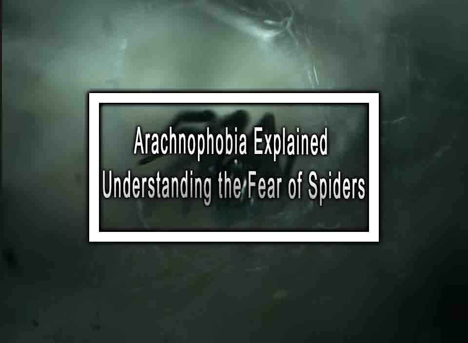 Arachnophobia Explained Understanding the Fear of Spiders