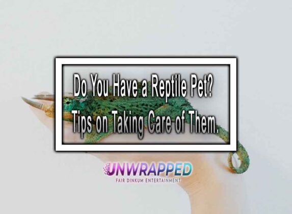 Do You Have a Reptile Pet? Tips on Taking Care of Them.