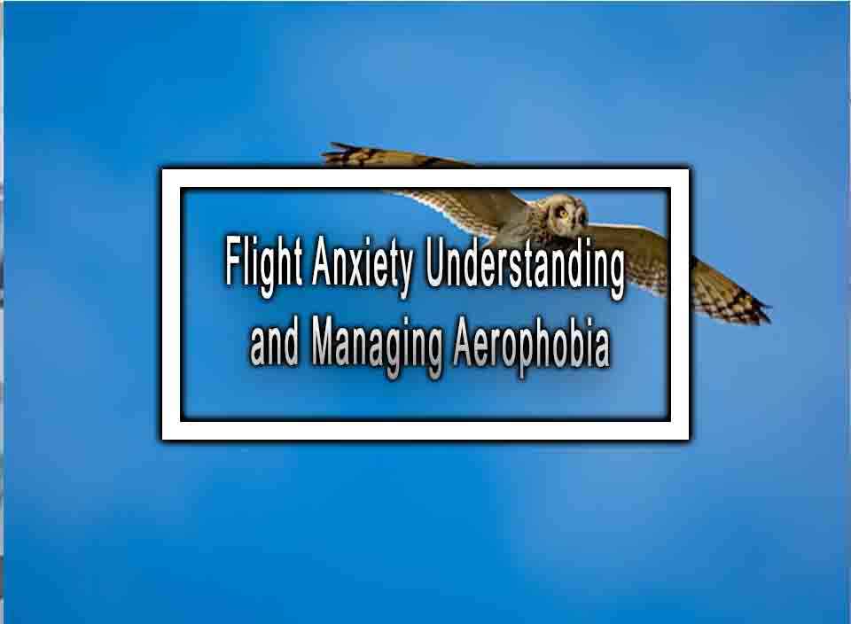 Flight Anxiety Understanding and Managing Aerophobia