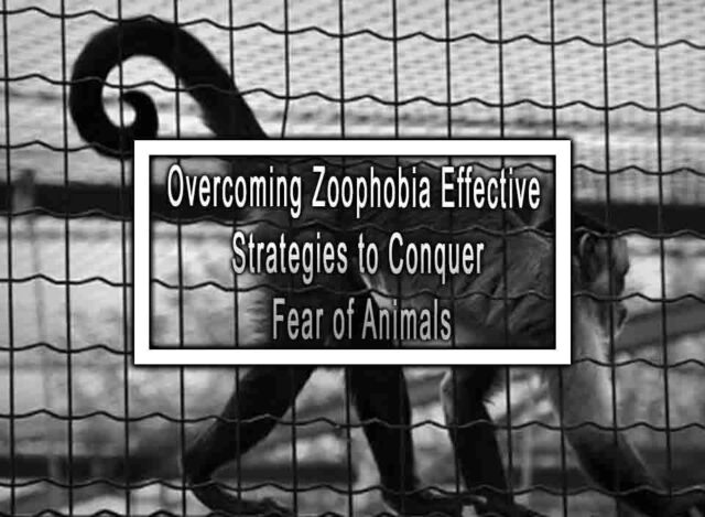 Overcoming Zoophobia Effective Strategies to Conquer Fear of Animals