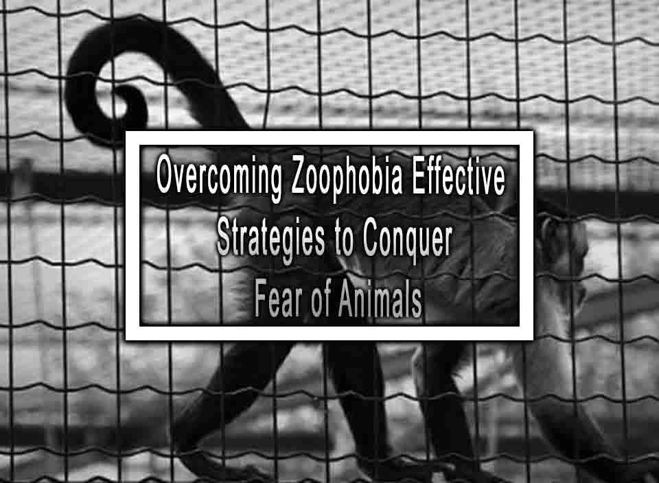 Overcoming Zoophobia Effective Strategies to Conquer Fear of Animals