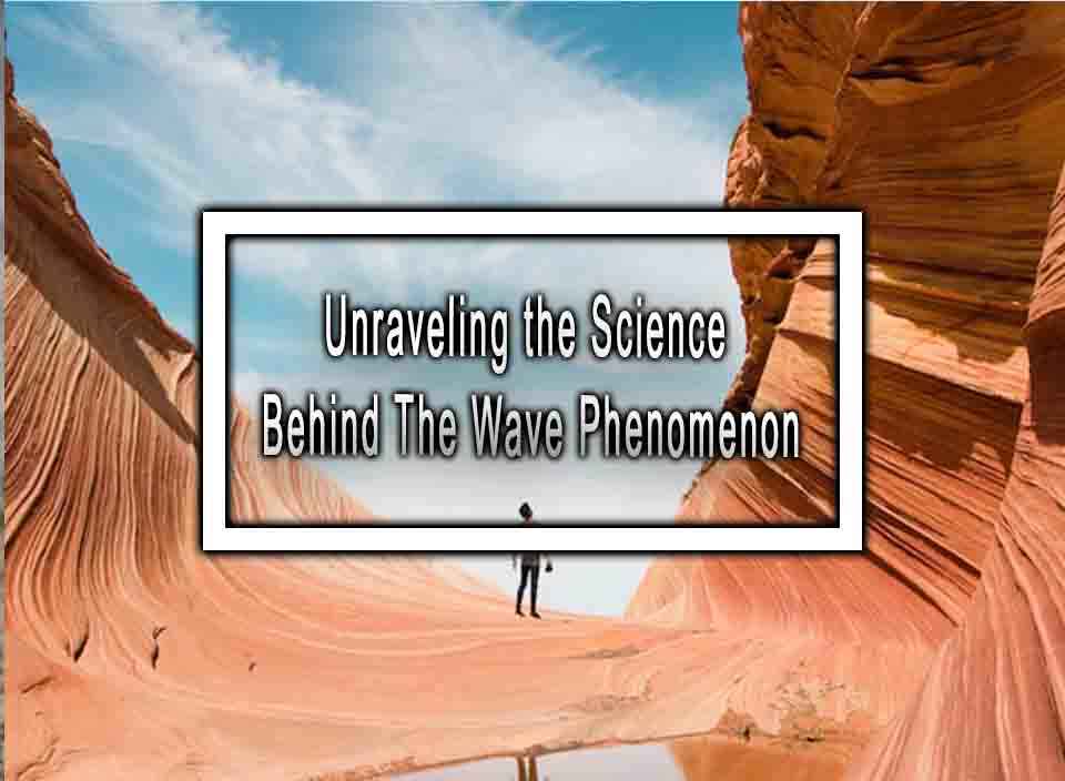 Unraveling the Science Behind The Wave Phenomenon