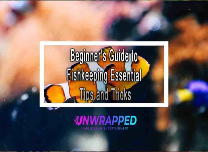 Beginner's Guide to Fishkeeping Essential Tips and Tricks