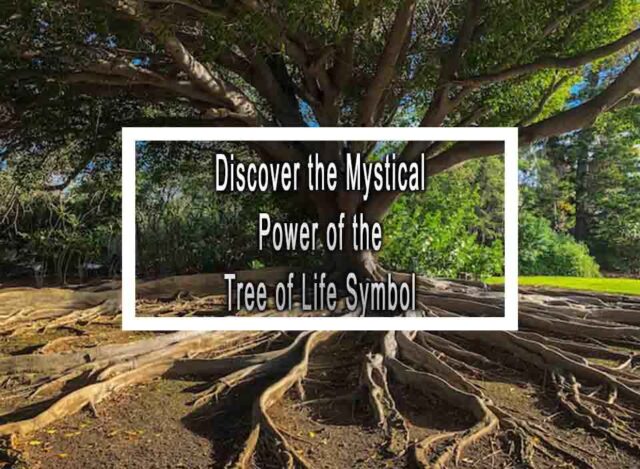 Discover the Mystical Power of the Tree of Life Symbol