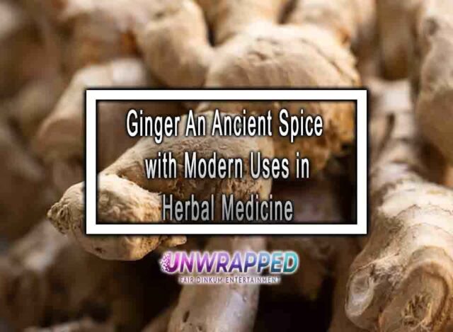 Ginger An Ancient Spice with Modern Uses in Herbal Medicine