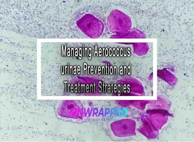 Managing Aerococcus urinae Prevention and Treatment Strategies