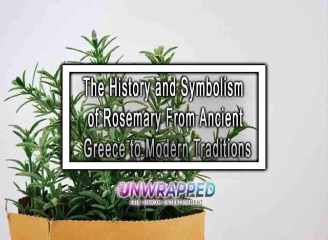 The History and Symbolism of Rosemary From Ancient Greece to Modern ...