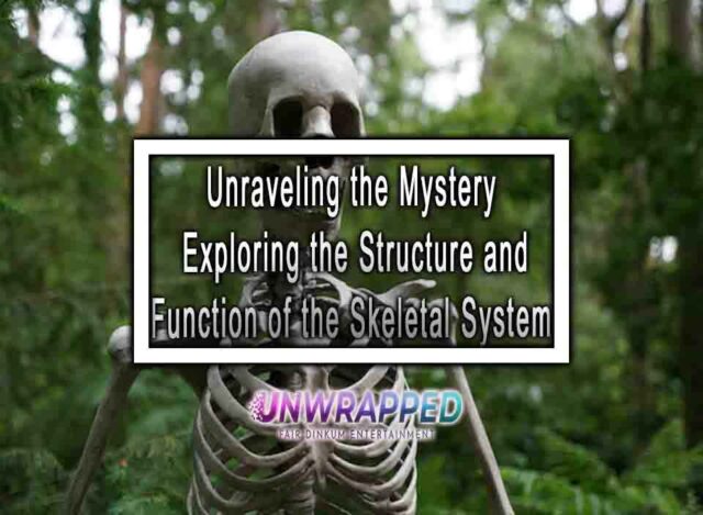 Unraveling the Mystery Exploring the Structure and Function of the ...