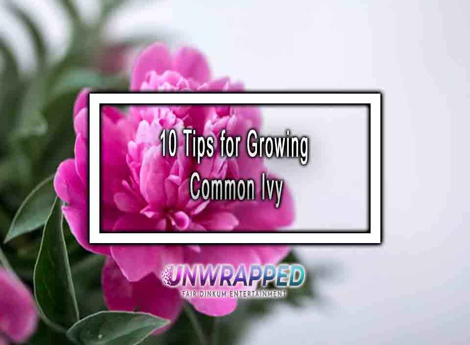 10 Tips for Growing Common Ivy