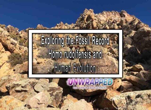 Exploring the Fossil Record Homo rudolfensis and Human Evolution
