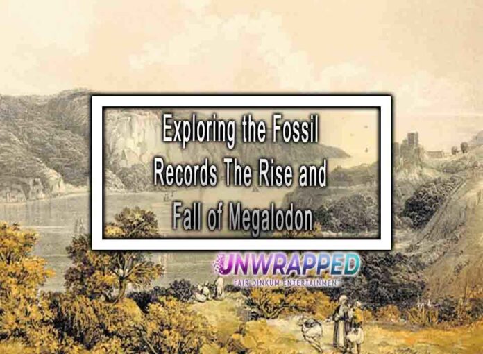 Exploring the Fossil Records The Rise and Fall of Megalodon