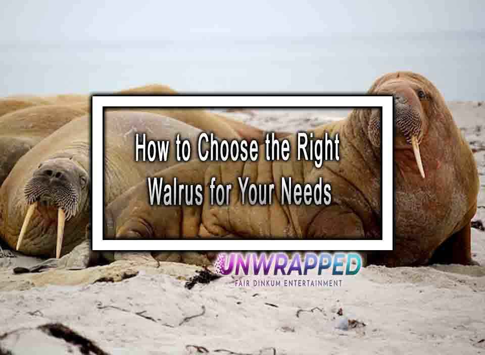 How to Choose the Right Walrus for Your Needs