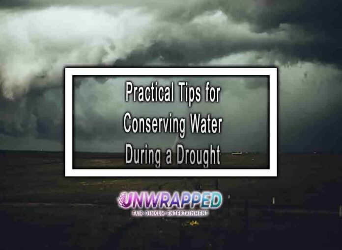 Practical Tips for Conserving Water During a Drought