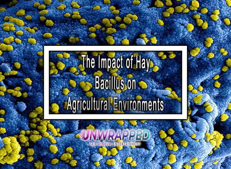 The Impact of Hay Bacillus on Agricultural Environments