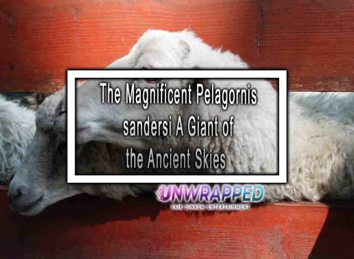 The Magnificent Pelagornis sandersi A Giant of the Ancient Skies