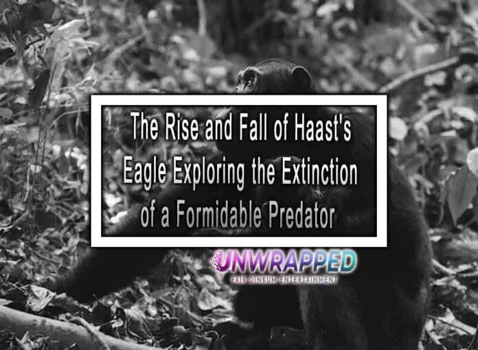 The Rise and Fall of Haast's Eagle Exploring the Extinction of a ...