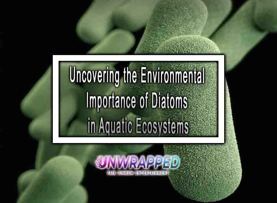 Uncovering the Environmental Importance of Diatoms in Aquatic Ecosystems