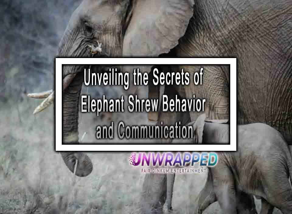 Unveiling the Secrets of Elephant Shrew Behavior and Communication