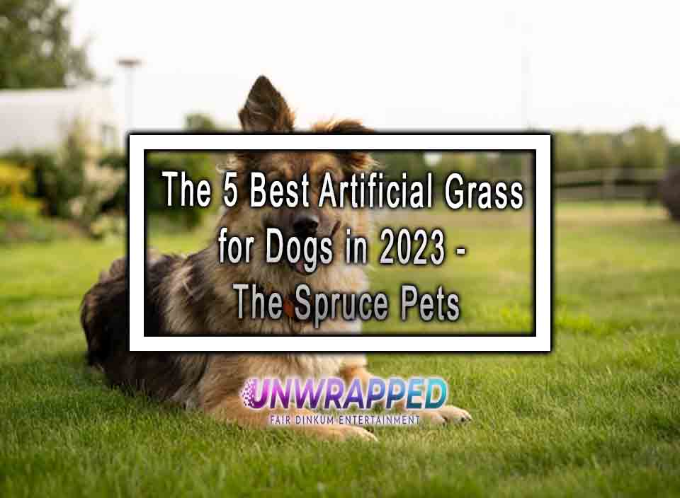 The 5 Best Artificial Grass for Dogs in 2023 - The Spruce Pets