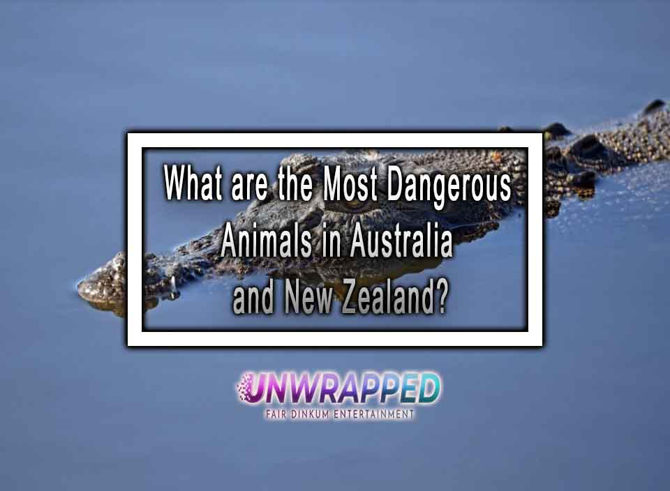 What are the Most Dangerous Animals in Australia and New Zealand?